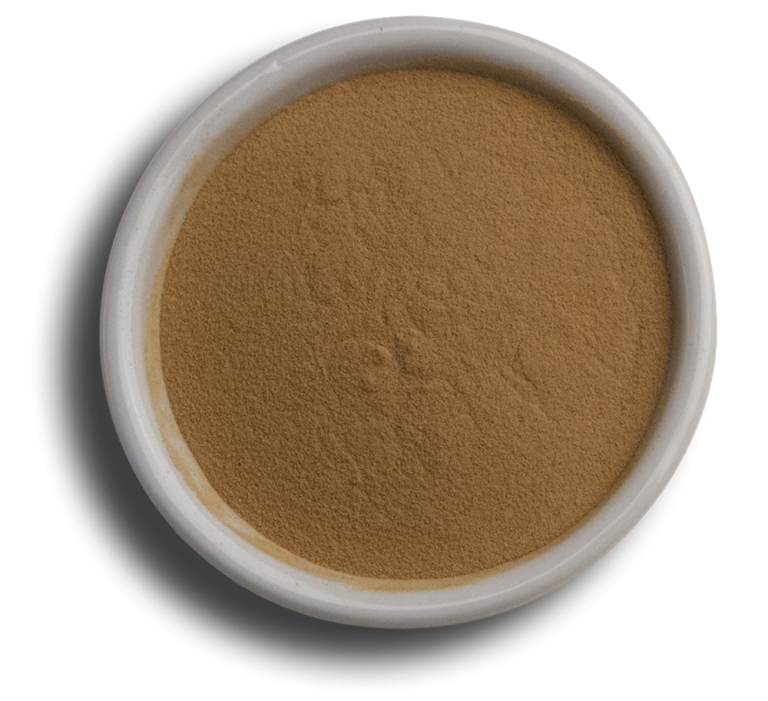 Guarana Powder: the strength of this natural product | Blue Macaw Flora